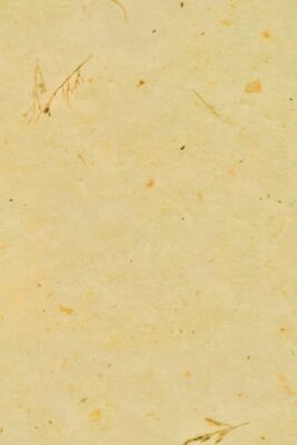 Textures Archive - Page 5 of 23 - TilingTextures