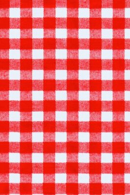 Checkered Red and White Fabric - Seamless Texture