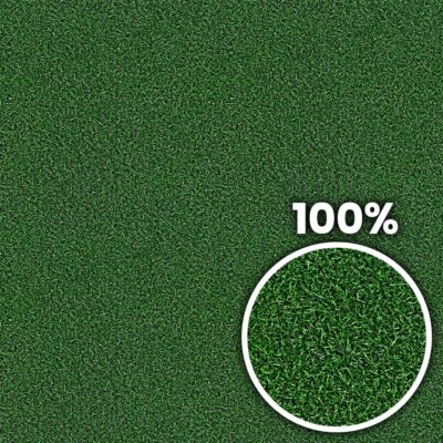 Fresh Dark Green Grass - Seamless Texture