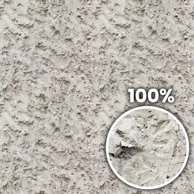 Rough Plaster Wall - Seamless Texture