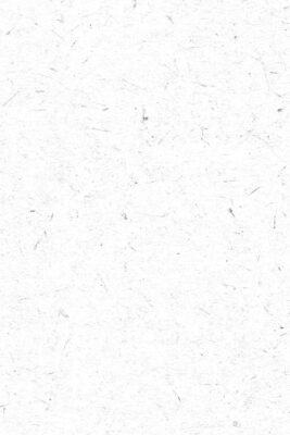 "Paper" Category - Seamless Textures
